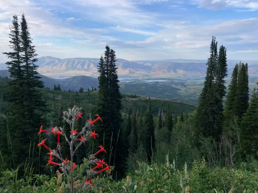 Snowbasin by UTMB | Utah, United States | Sep 12, 2026 (Sat)
