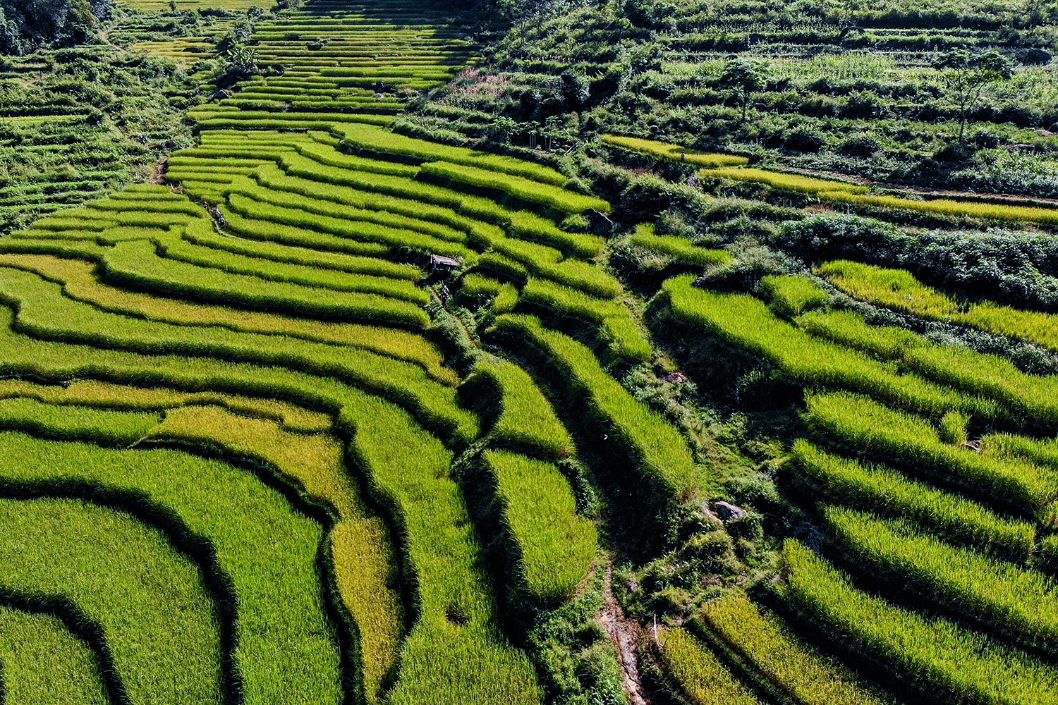 Vietnam Mountain Marathon | Sa Pa, Vietnam | Sep 18-19, 2026 (Fri-Sat)